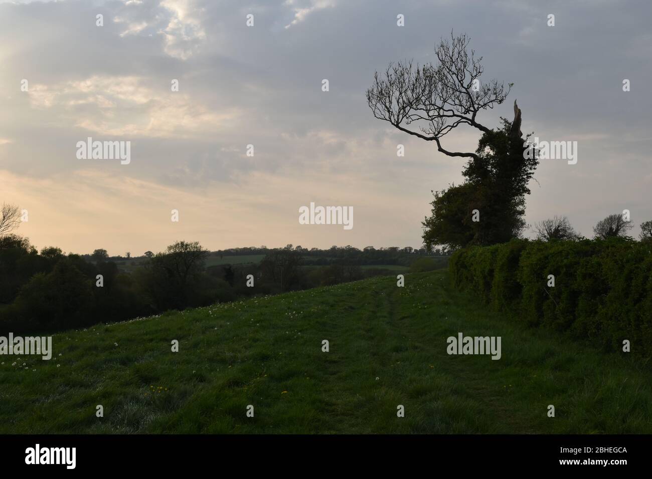 Somerset walking route hi-res stock photography and images - Alamy