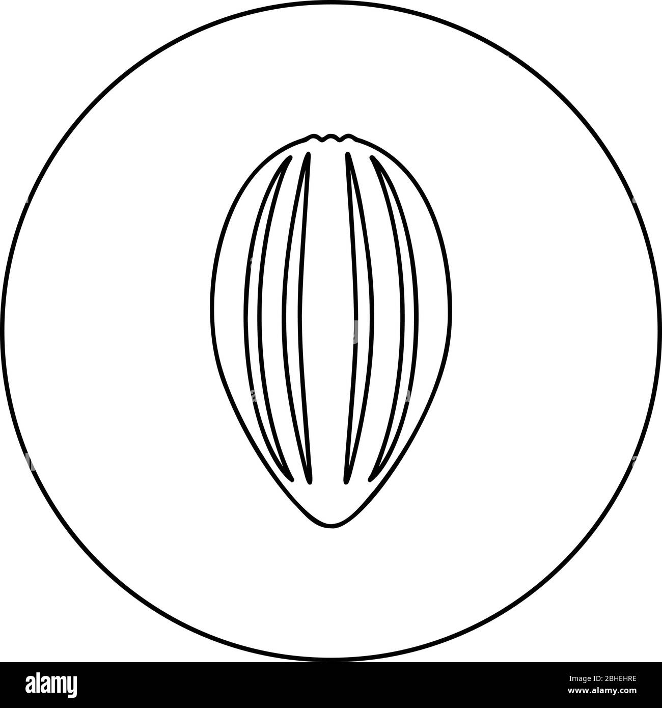 Flat seed pod Black and White Stock Photos & Images - Alamy