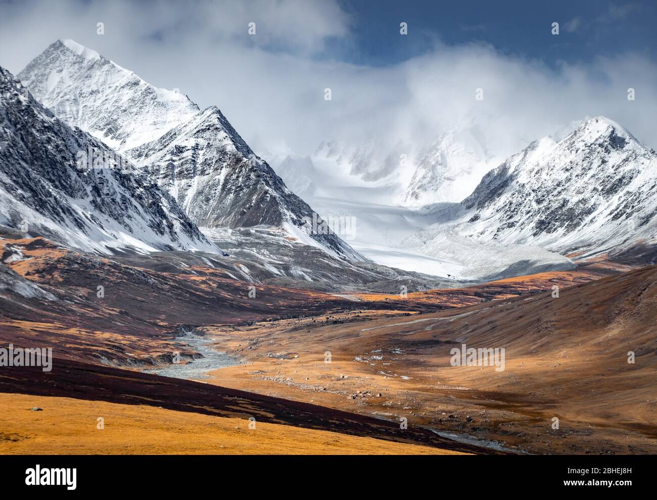 Potanin High Resolution Stock Photography and Images - Alamy