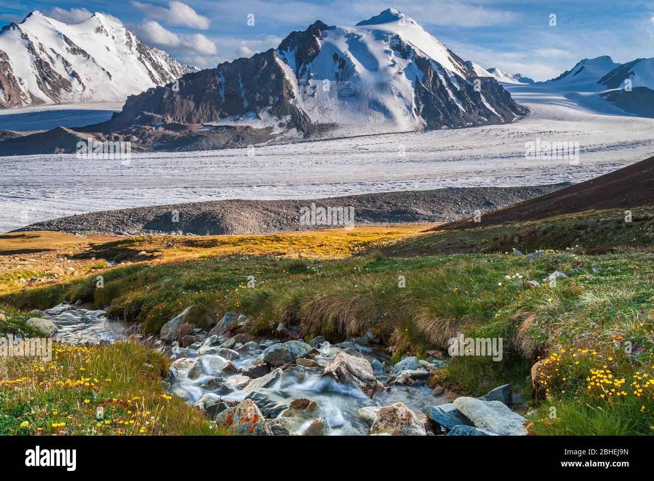 Potanin High Resolution Stock Photography and Images - Alamy