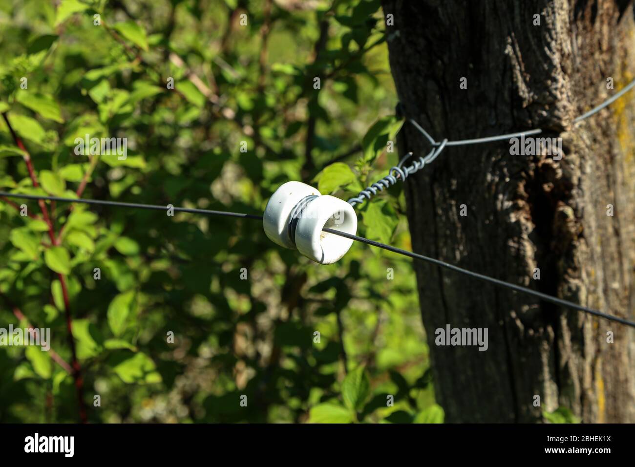 Electrical fence around pasture hi-res stock photography and images - Alamy