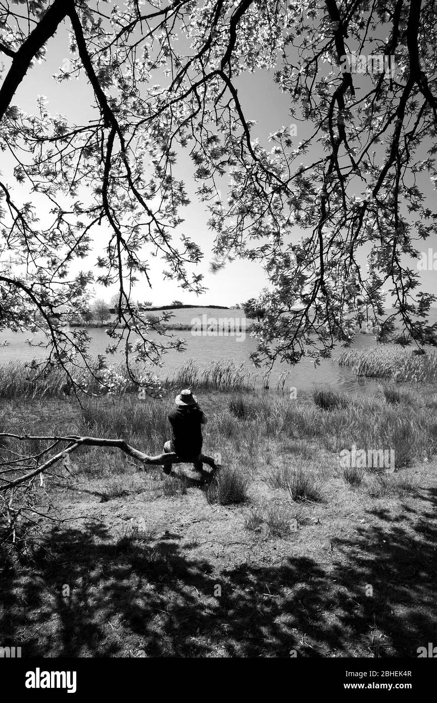 Hobby pond Black and White Stock Photos & Images - Alamy