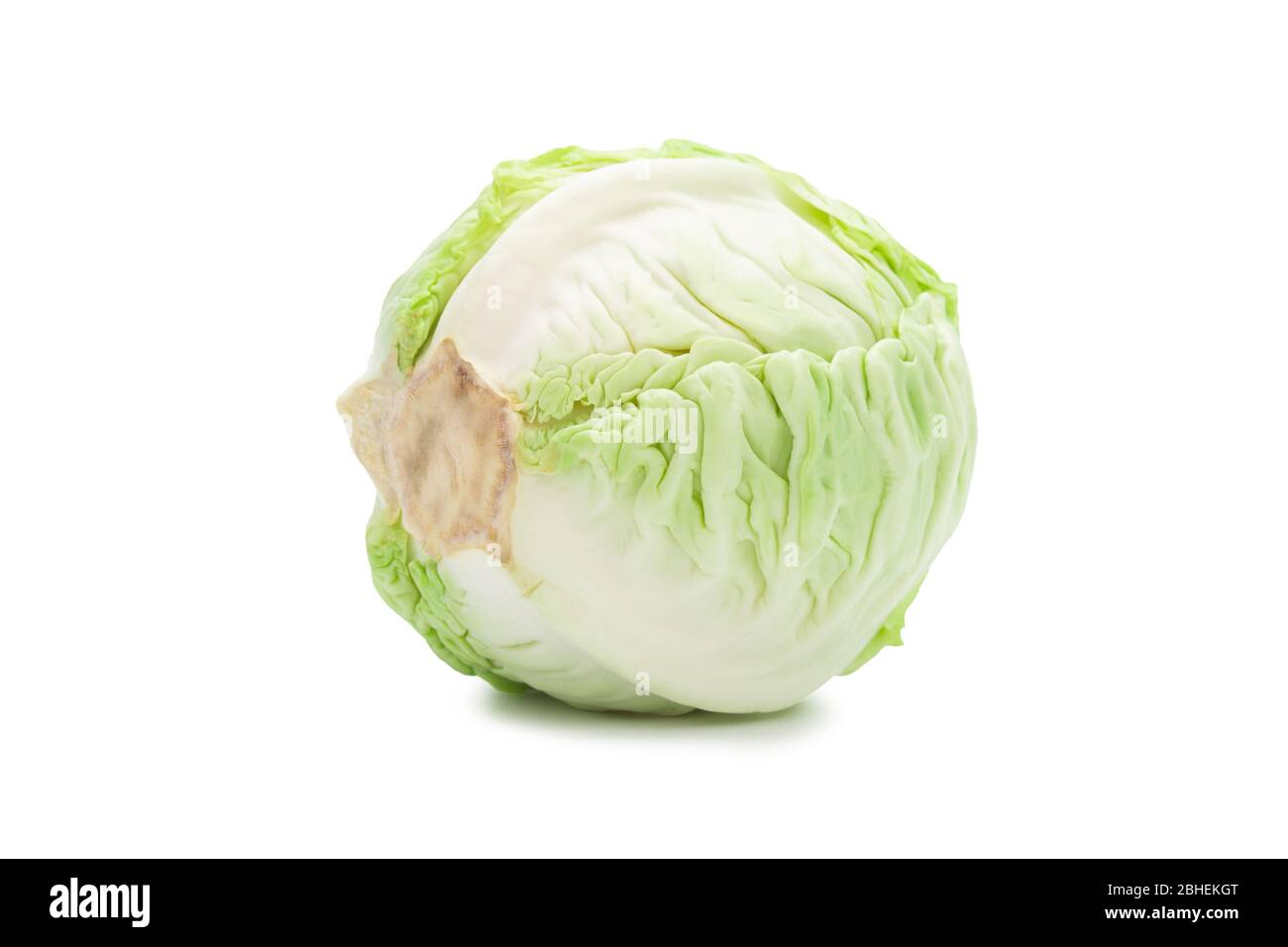 Whole green cabbage isolated on white background with clipping path ...