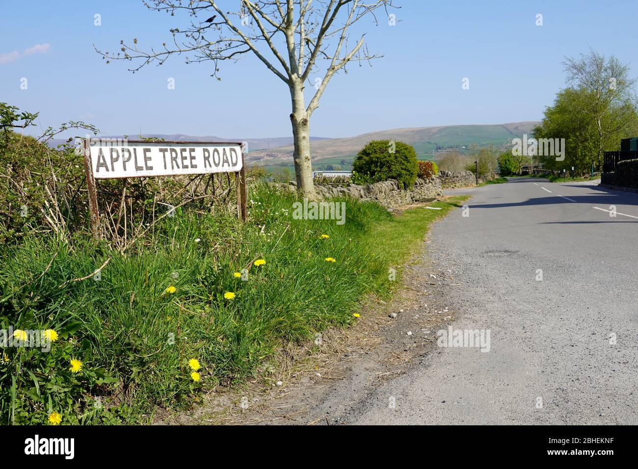 Apple tree golf course hi-res stock photography and images - Alamy