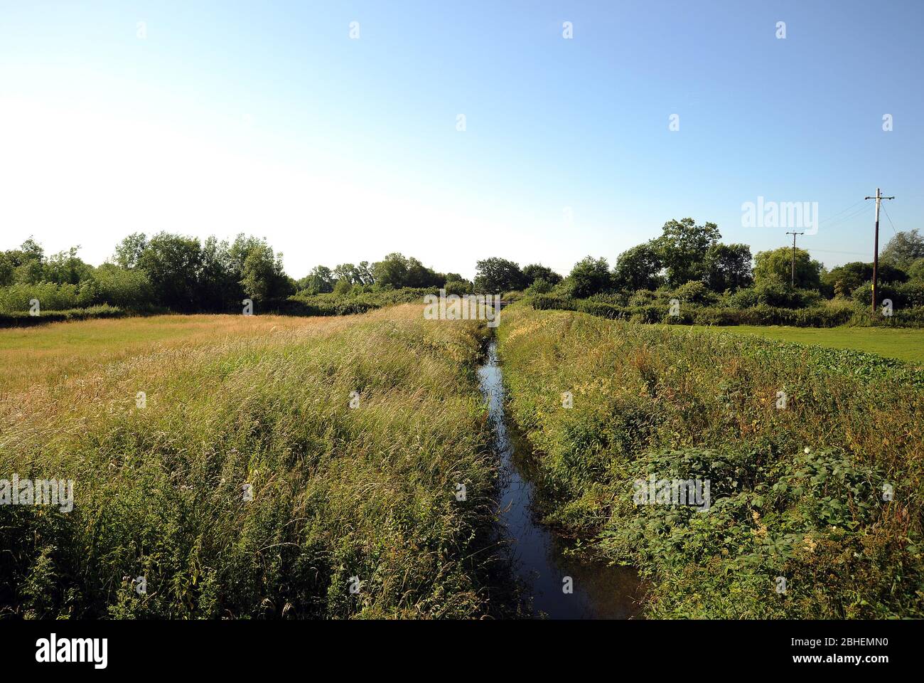 Magor with undy hi-res stock photography and images - Alamy