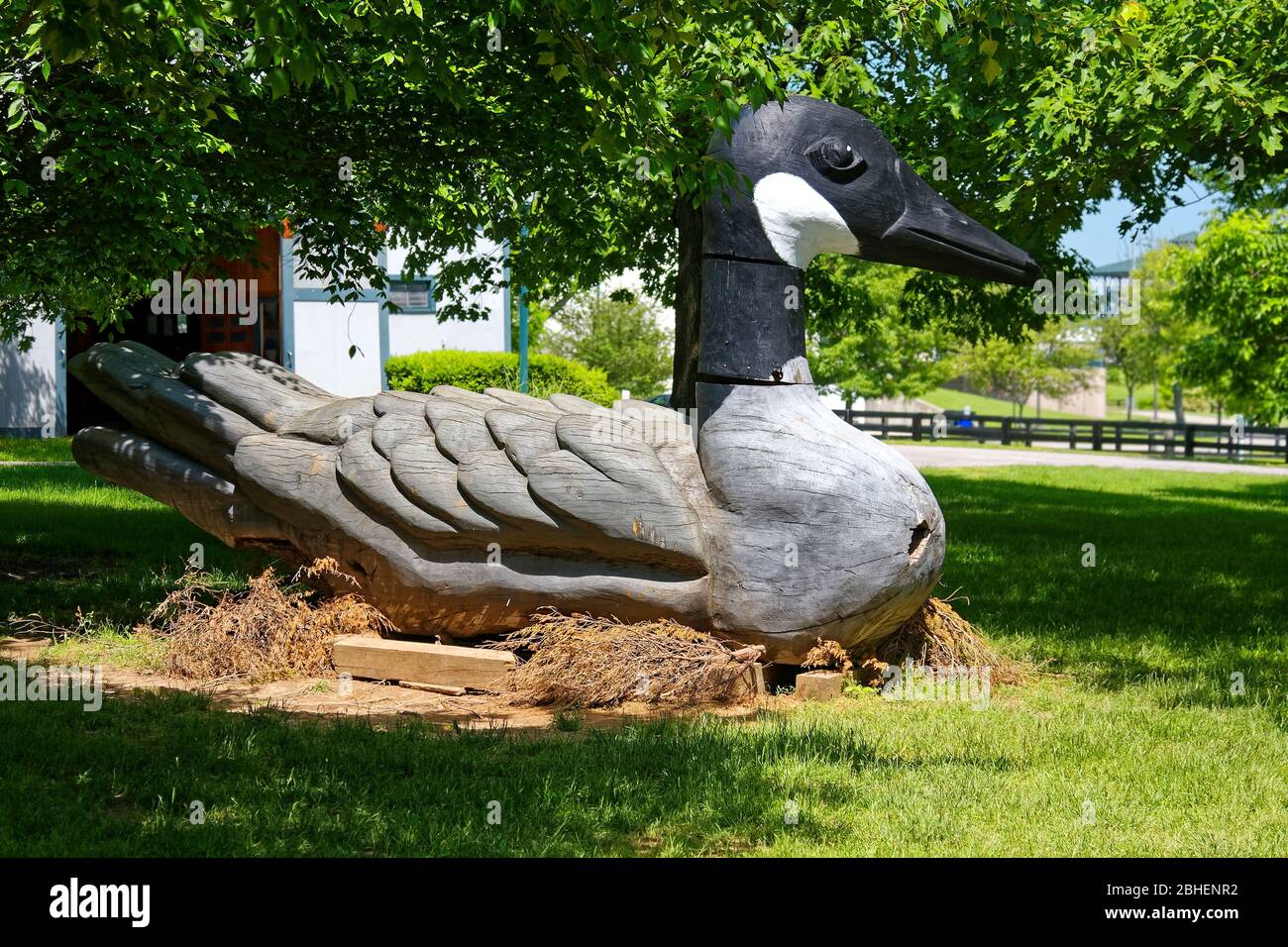 large wood duck decoy, outdoor decoration, Kentucky Horse Park, USA ...