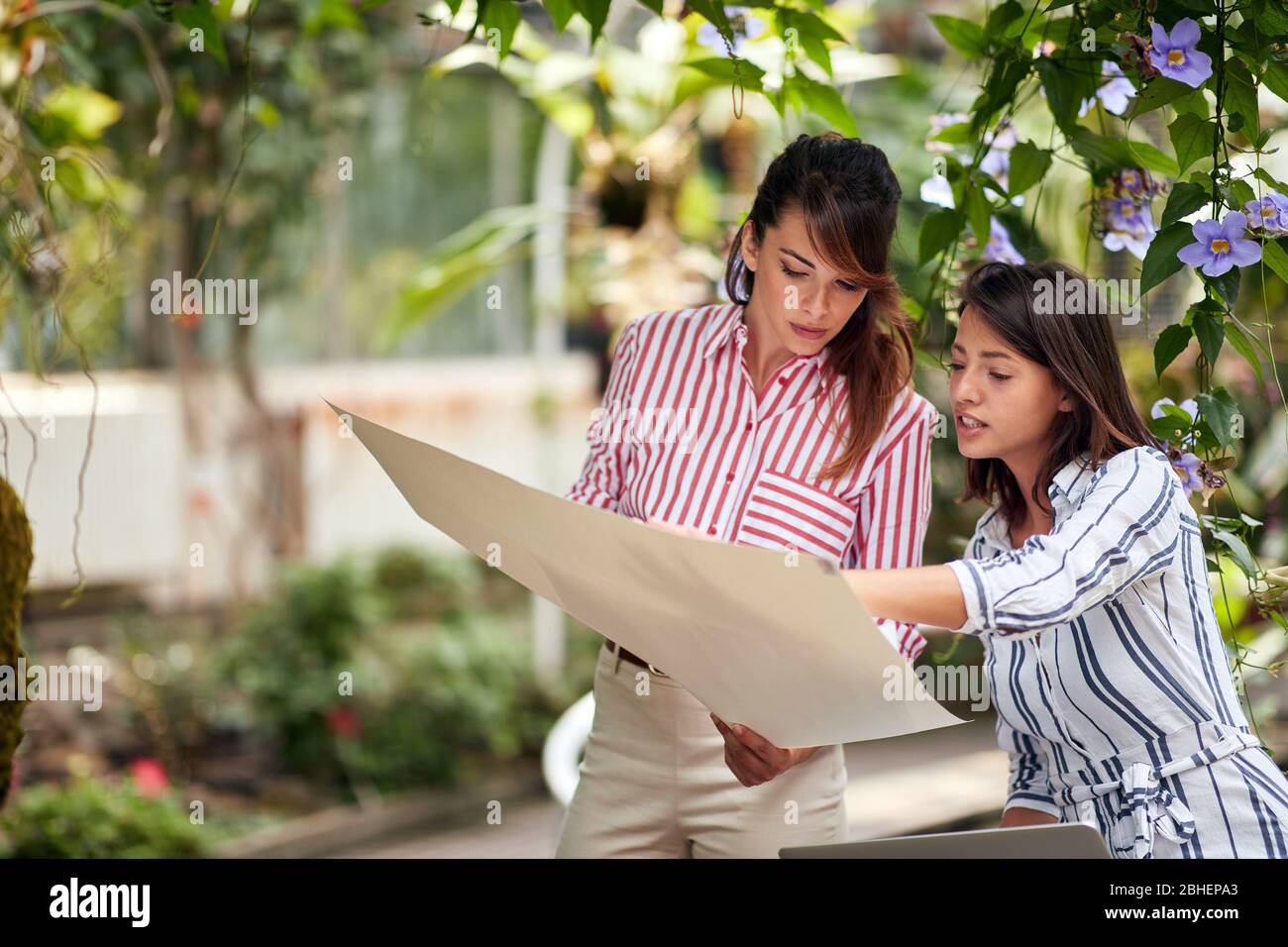 Landscape architect woman design garden Stock Photo - Alamy