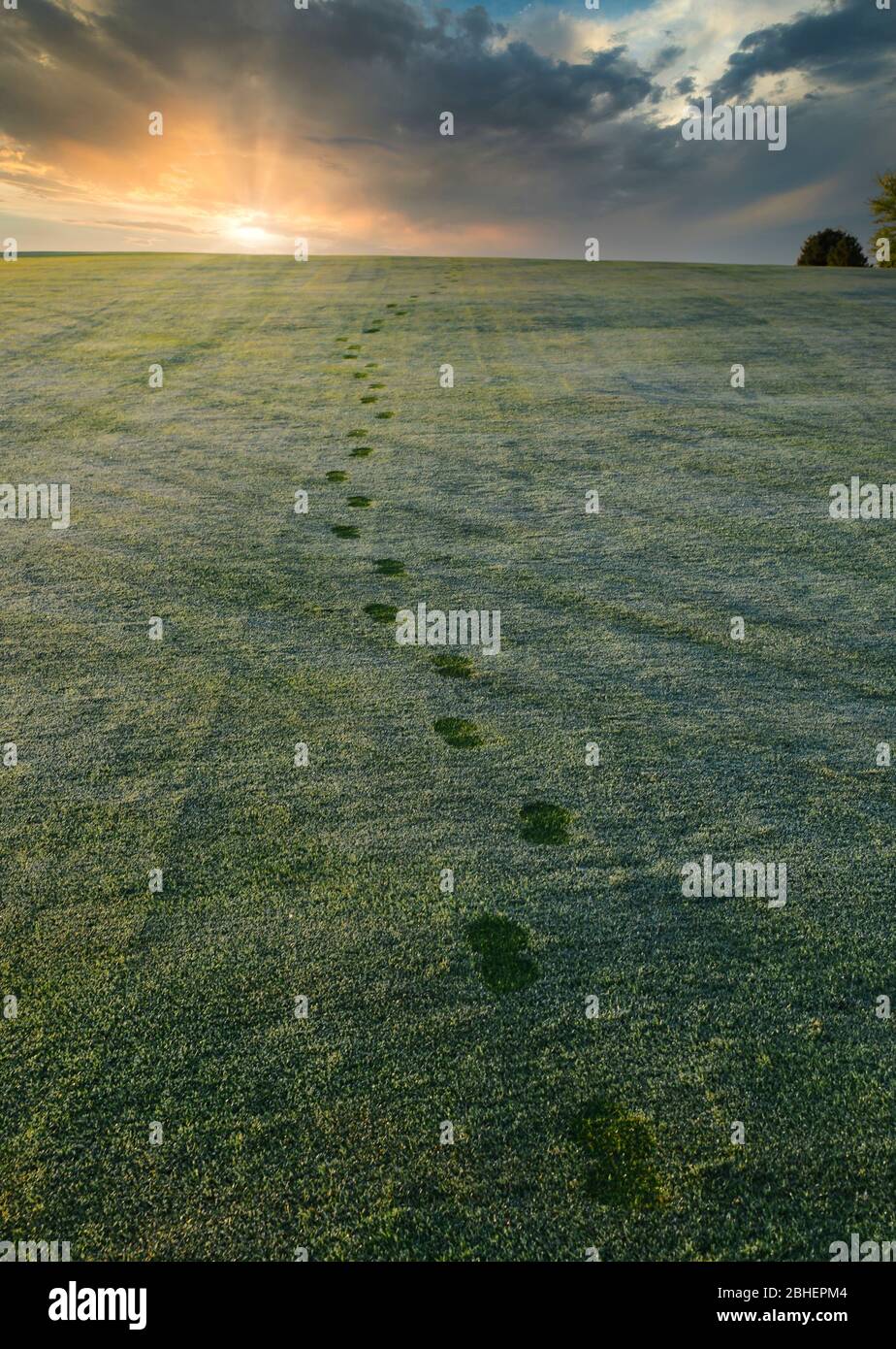 Walking footprints hi-res stock photography and images - Alamy