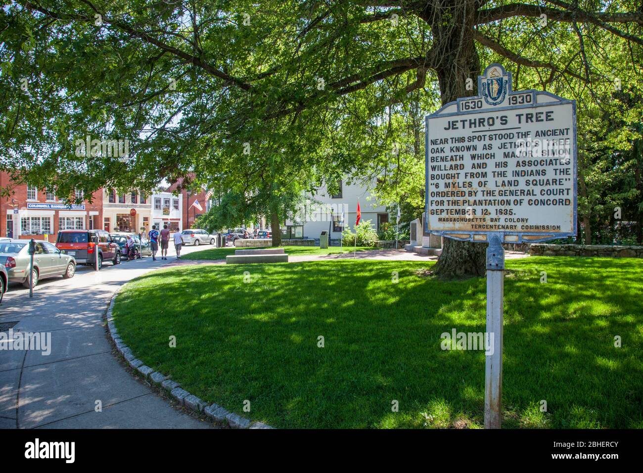 Jethros tree hi-res stock photography and images - Alamy