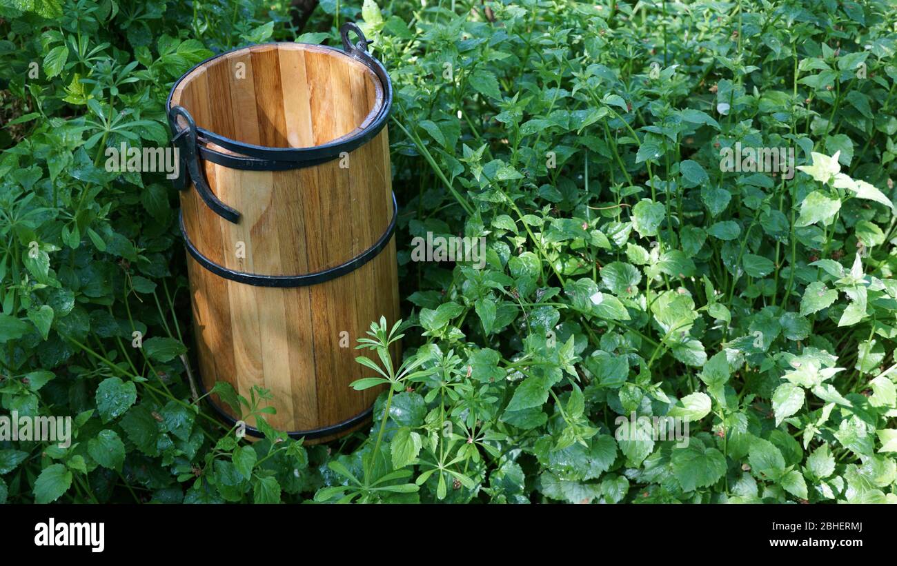 Anglo saxon designs hi-res stock photography and images - Alamy