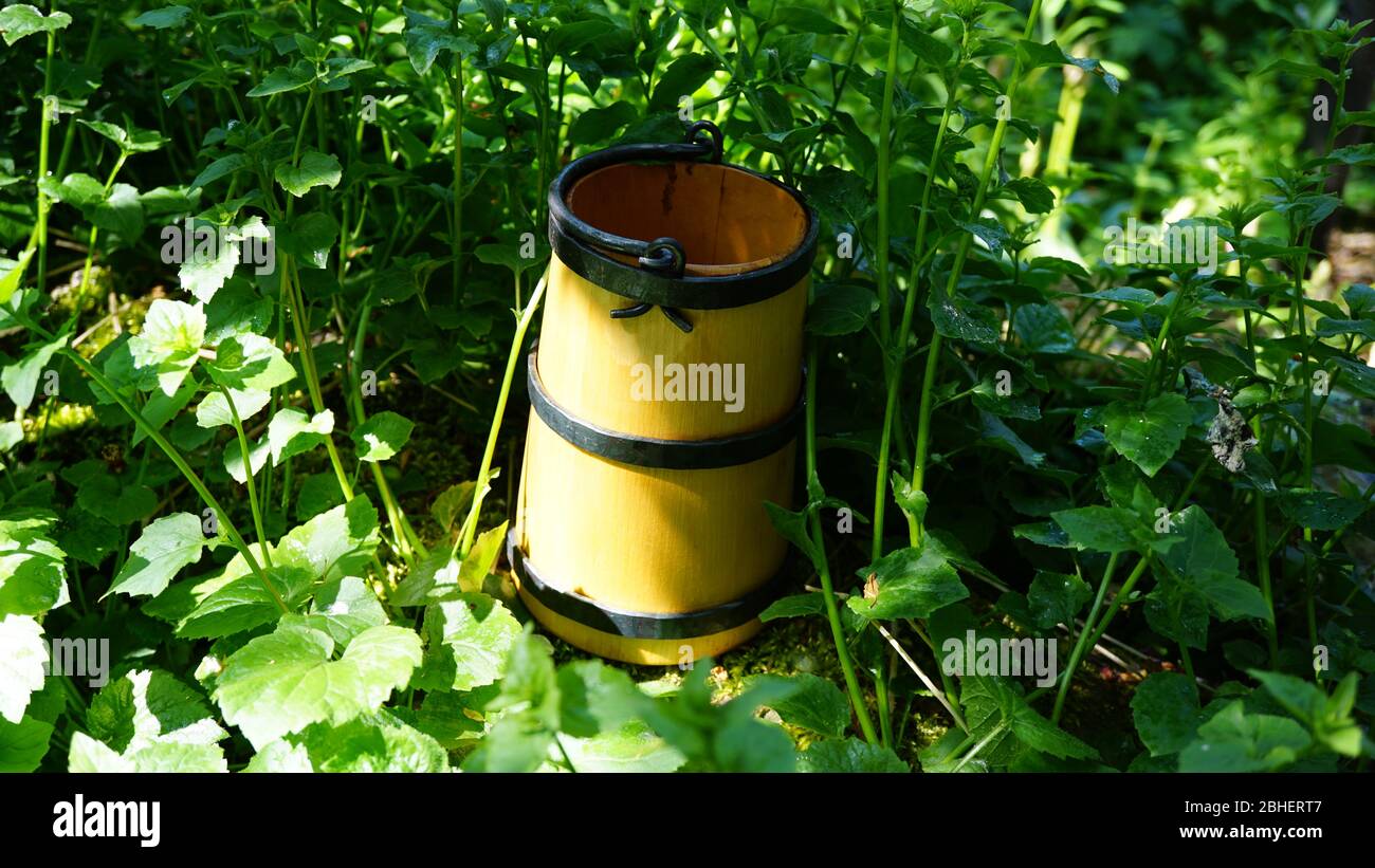 Anglo saxon hall reconstruction hi-res stock photography and images - Alamy