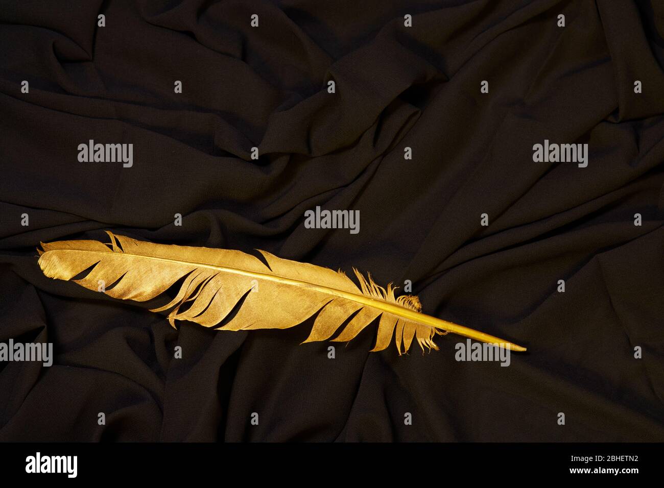 Golden feather hi-res stock photography and images - Alamy