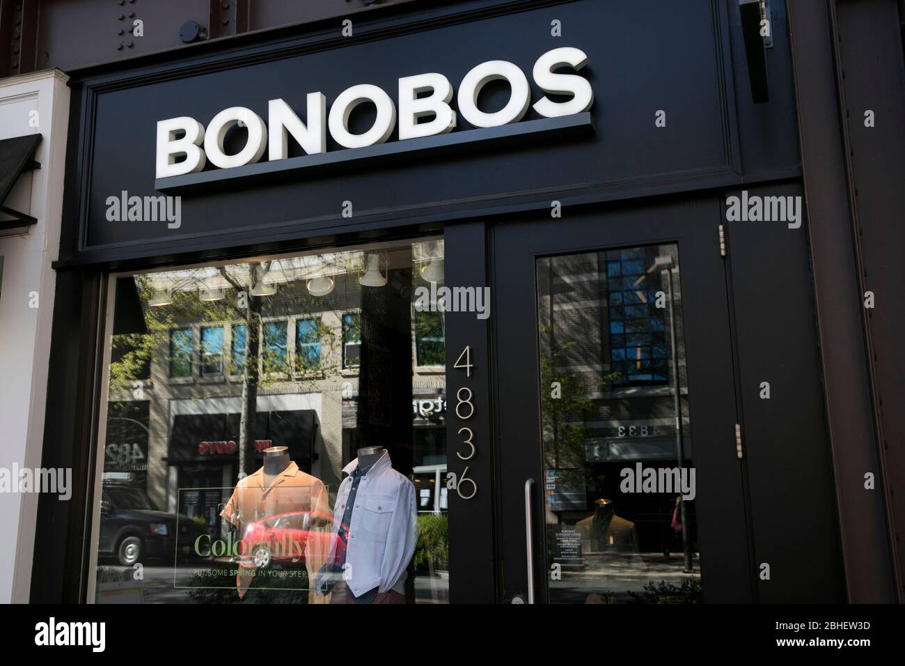 Bonobos hi-res stock photography and images - Alamy