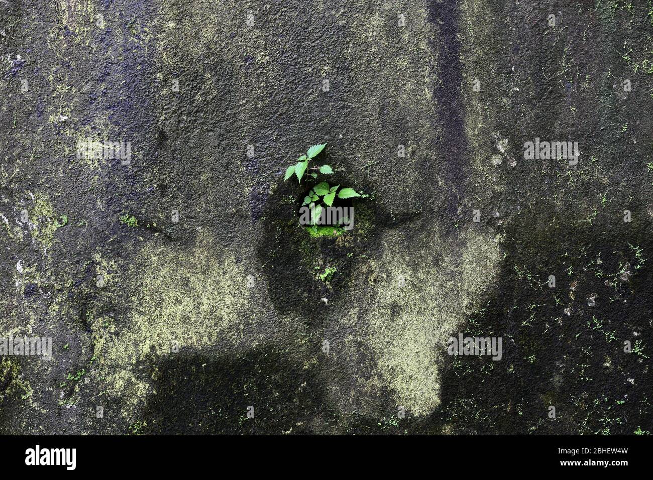 Old condition pipe hi-res stock photography and images - Alamy