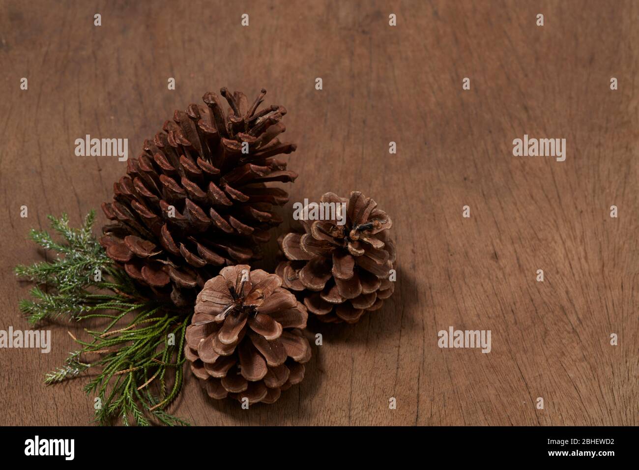 Conifer cone on a natural wood background Stock Photo - Alamy