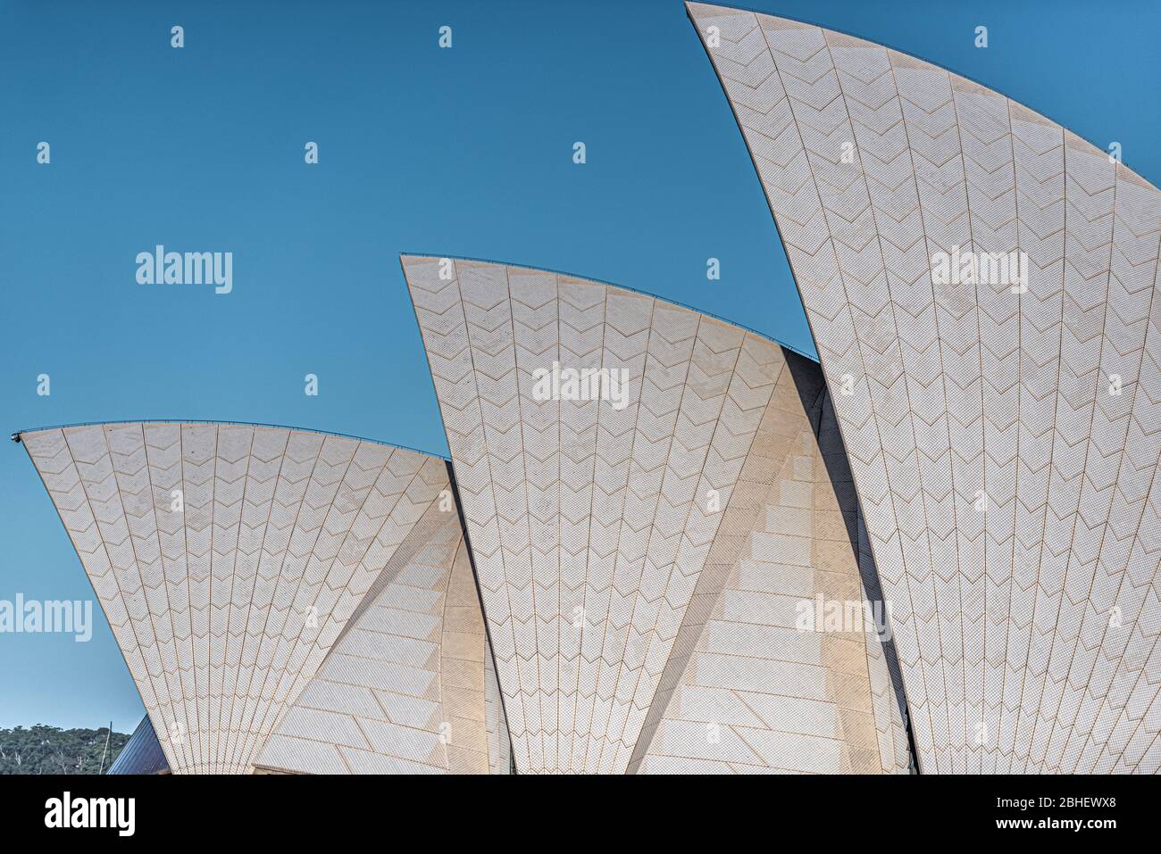 Close view of Sydney Opera House roof, Australia Stock Photo - Alamy