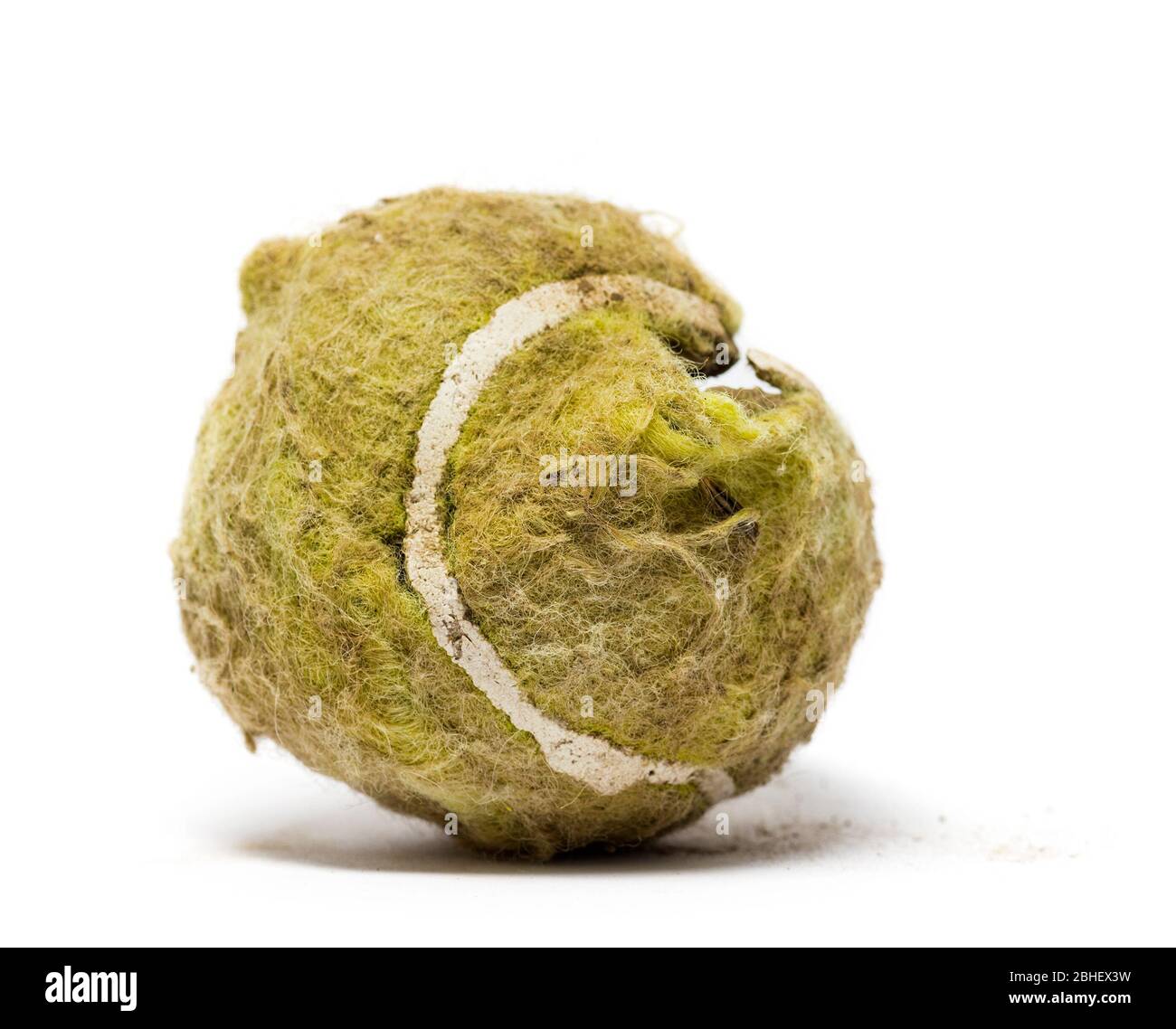 Broken chew toy hi-res stock photography and images - Alamy