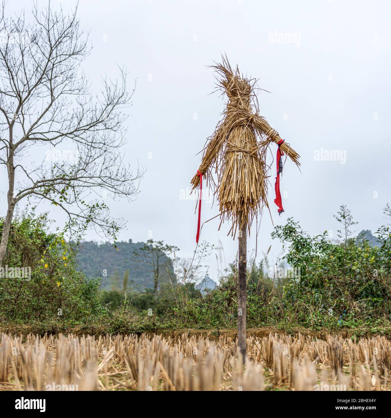 Scarecrows in a field hi-res stock photography and images - Alamy