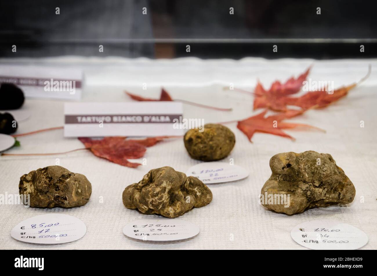 White Truffles (Tuber Magnatum Pico) and price tags on a trader stall ...