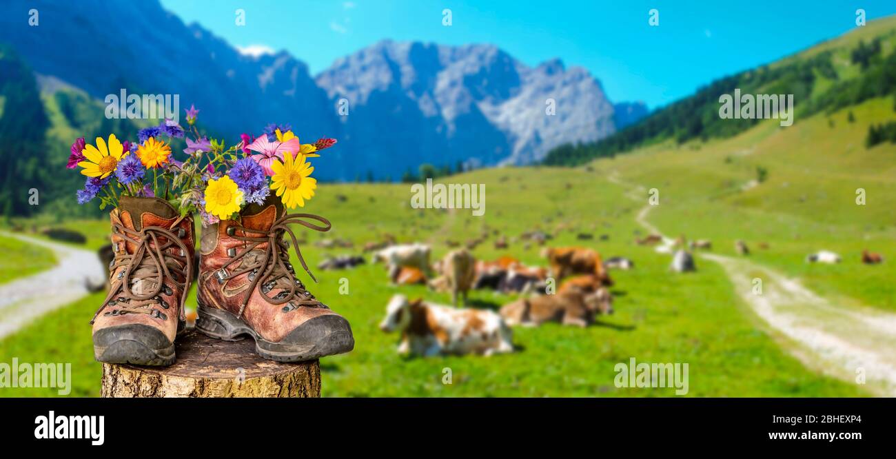 Walking shoes with flowers in a beautiful landscape Stock Photo - Alamy