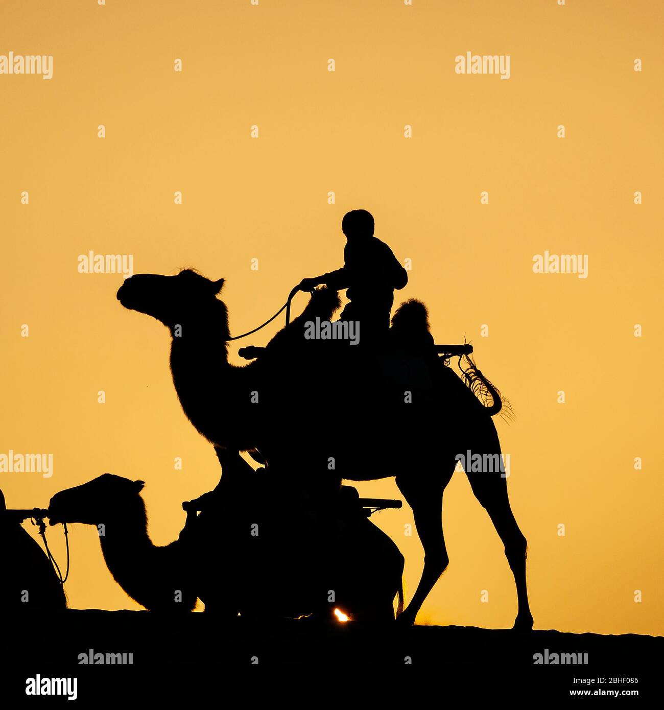 China camel rider in hi-res stock photography and images - Alamy