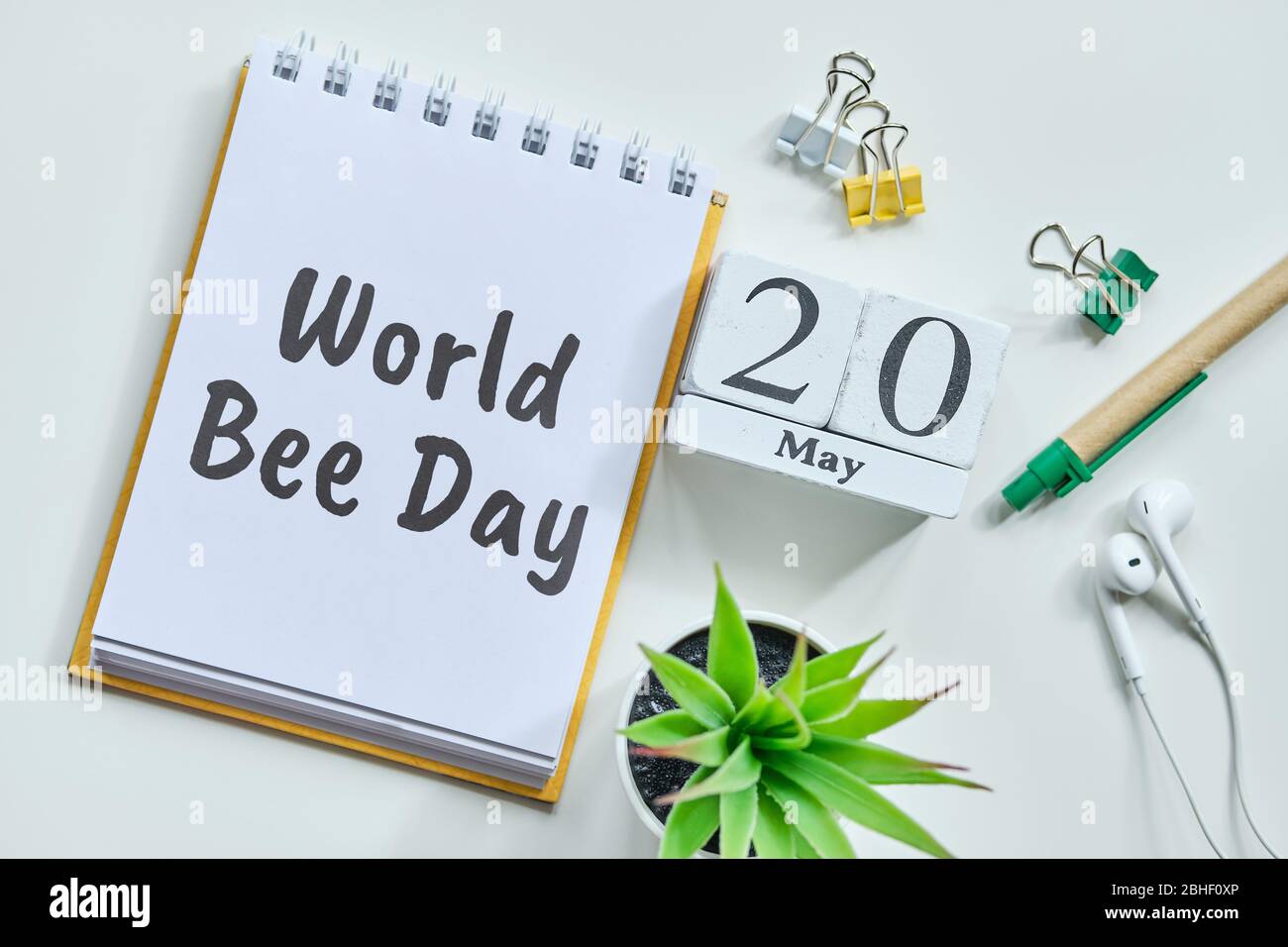 20 twentieth World Bee day May Month Calendar Concept on Wooden Blocks ...