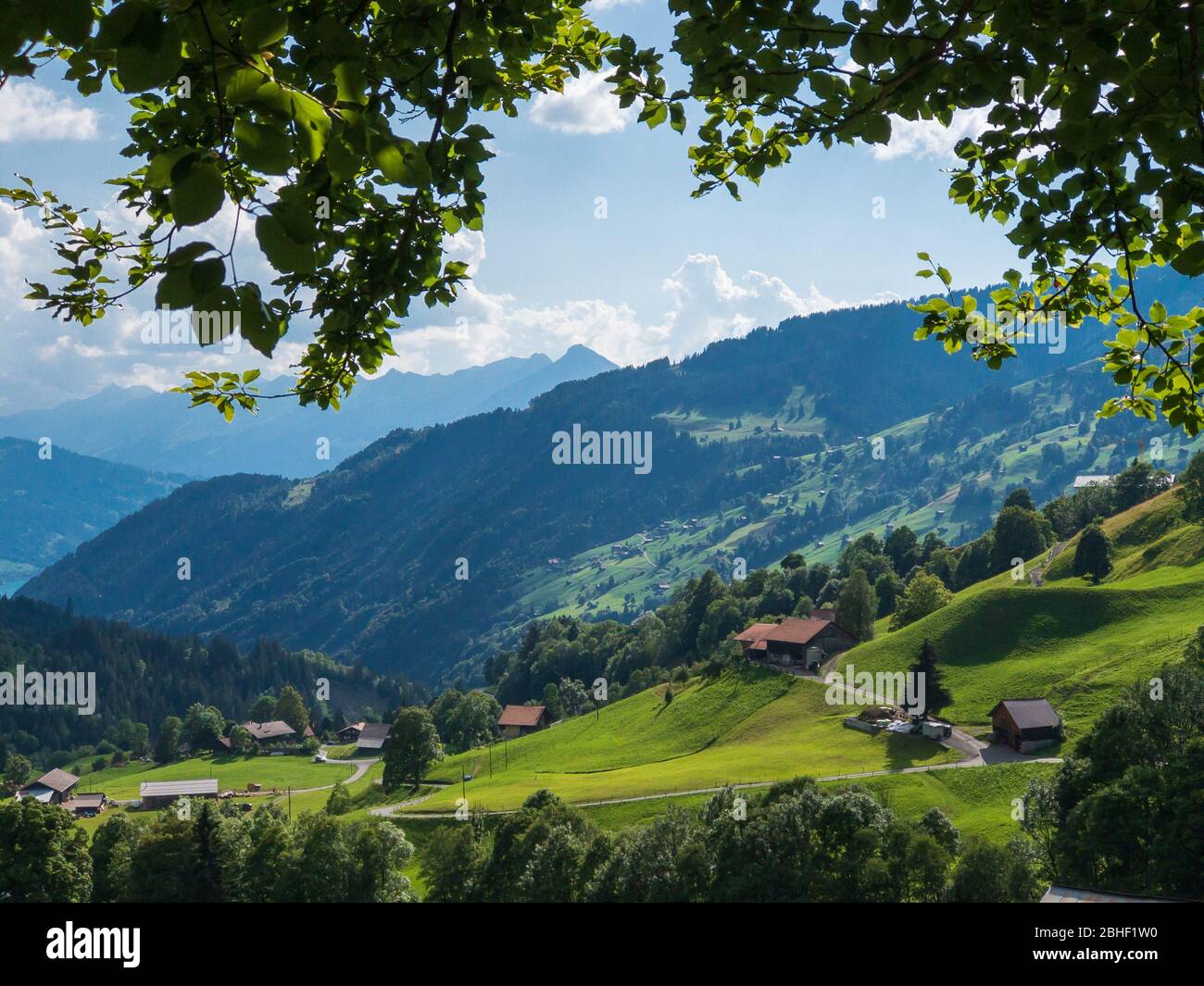 Summer time countryside panoramic landscape in Switzerland Stock Photo ...