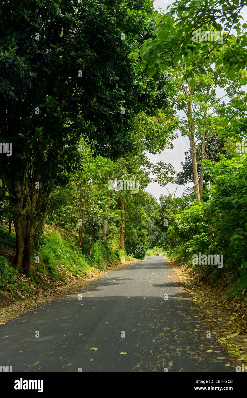 Rural street scene hi-res stock photography and images - Alamy
