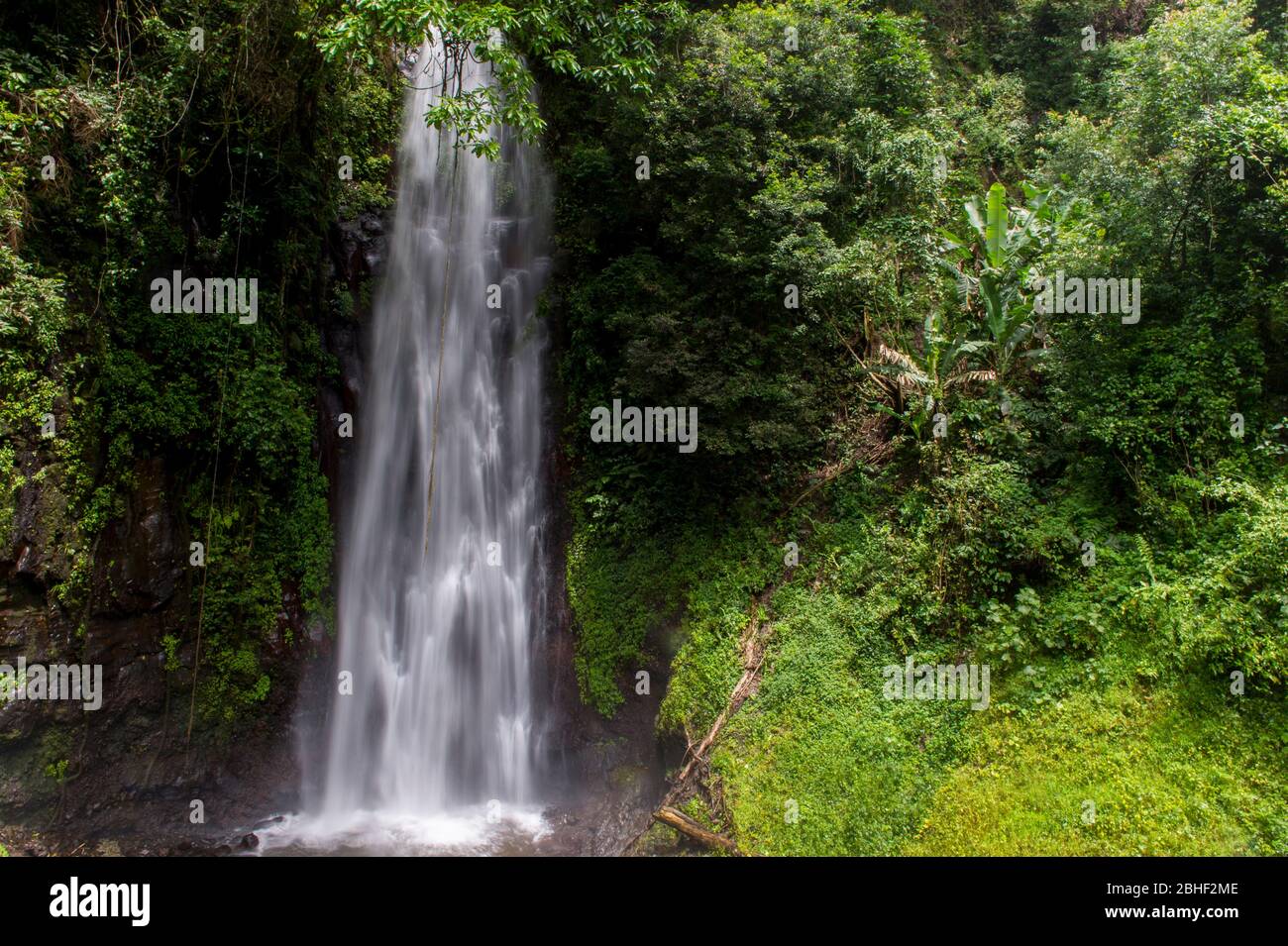 The St. Nicholas waterfall in the rainforest of Sao Tome Island, Sao ...