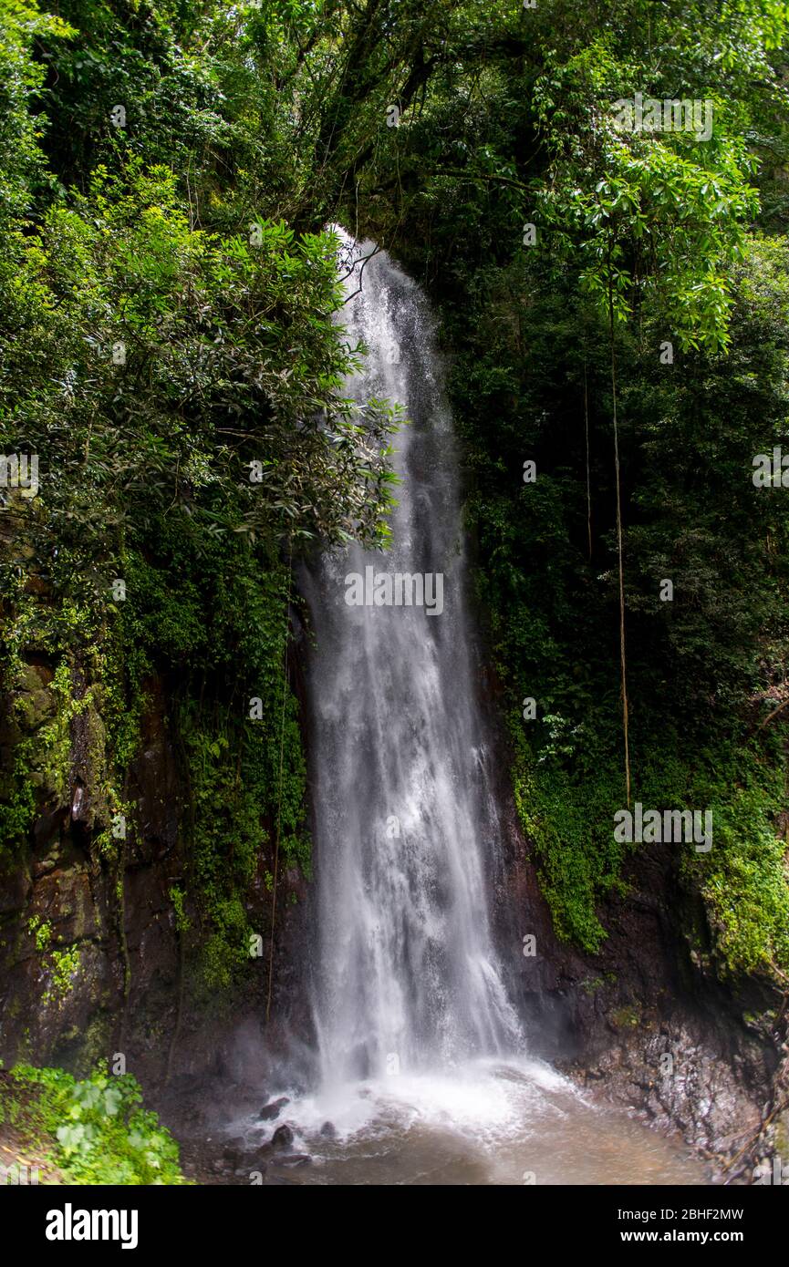 The St. Nicholas waterfall in the rainforest of Sao Tome Island, Sao ...
