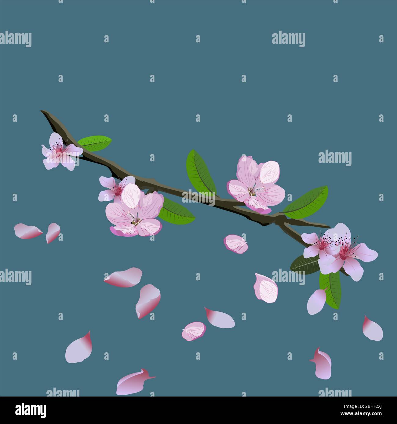Japanese Cherry Blossom Branch Drawing