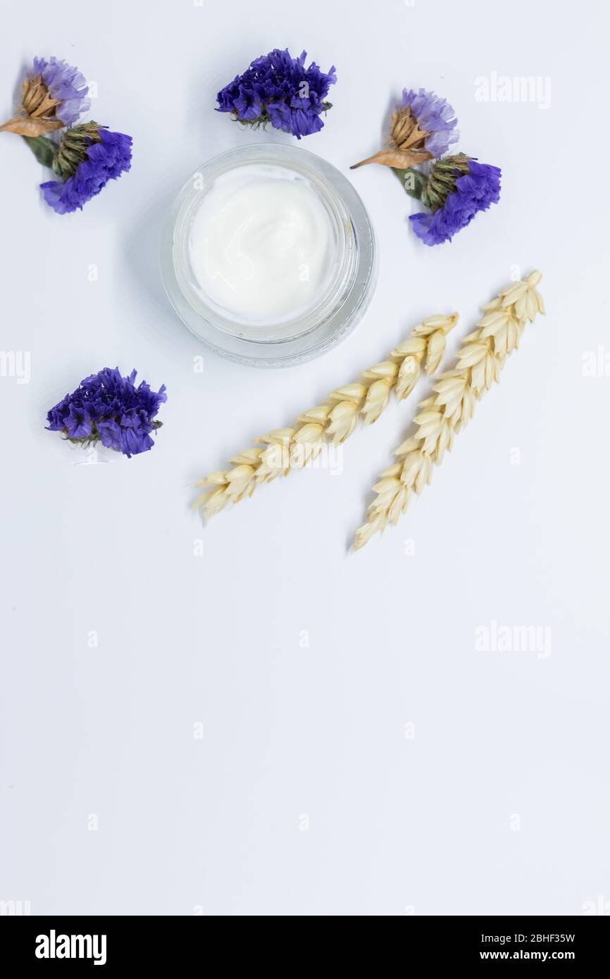 Open cream jar with wheat spikelets top view. Mourishing face mask with ...