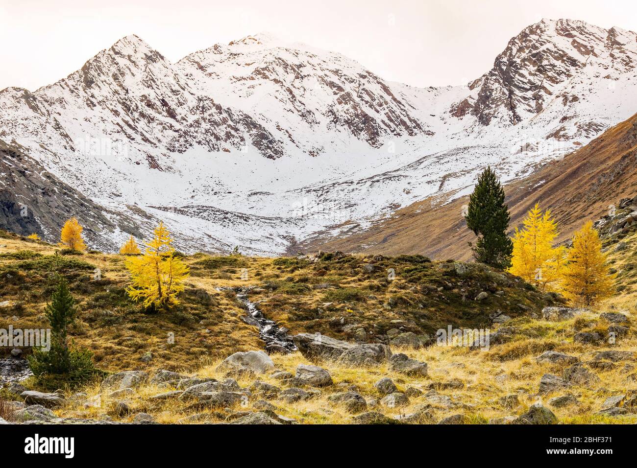 Autumn, winter, landscape hi-res stock photography and images - Alamy