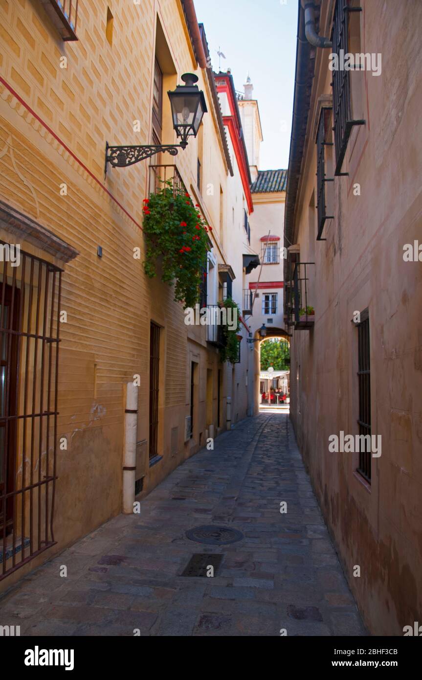 Old narrow street between two buildings with the arc in the end. small ...