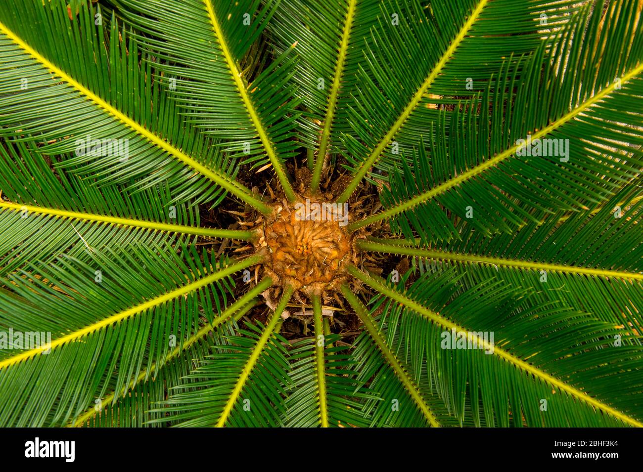 Bom bom island resort hi-res stock photography and images - Alamy