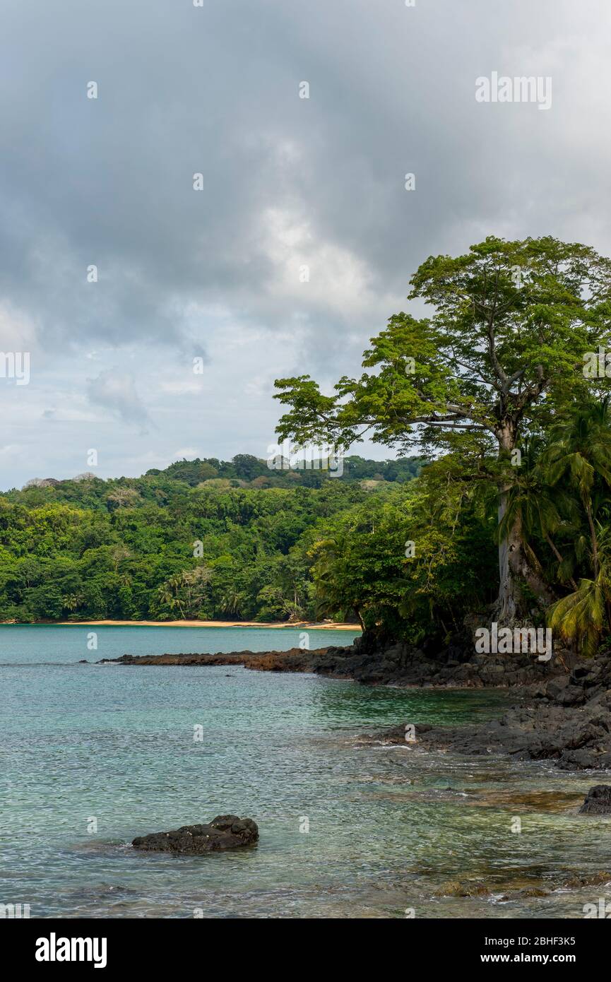 View of coastal rainforest on Principe Island from Bom Bom Resort, Sao ...