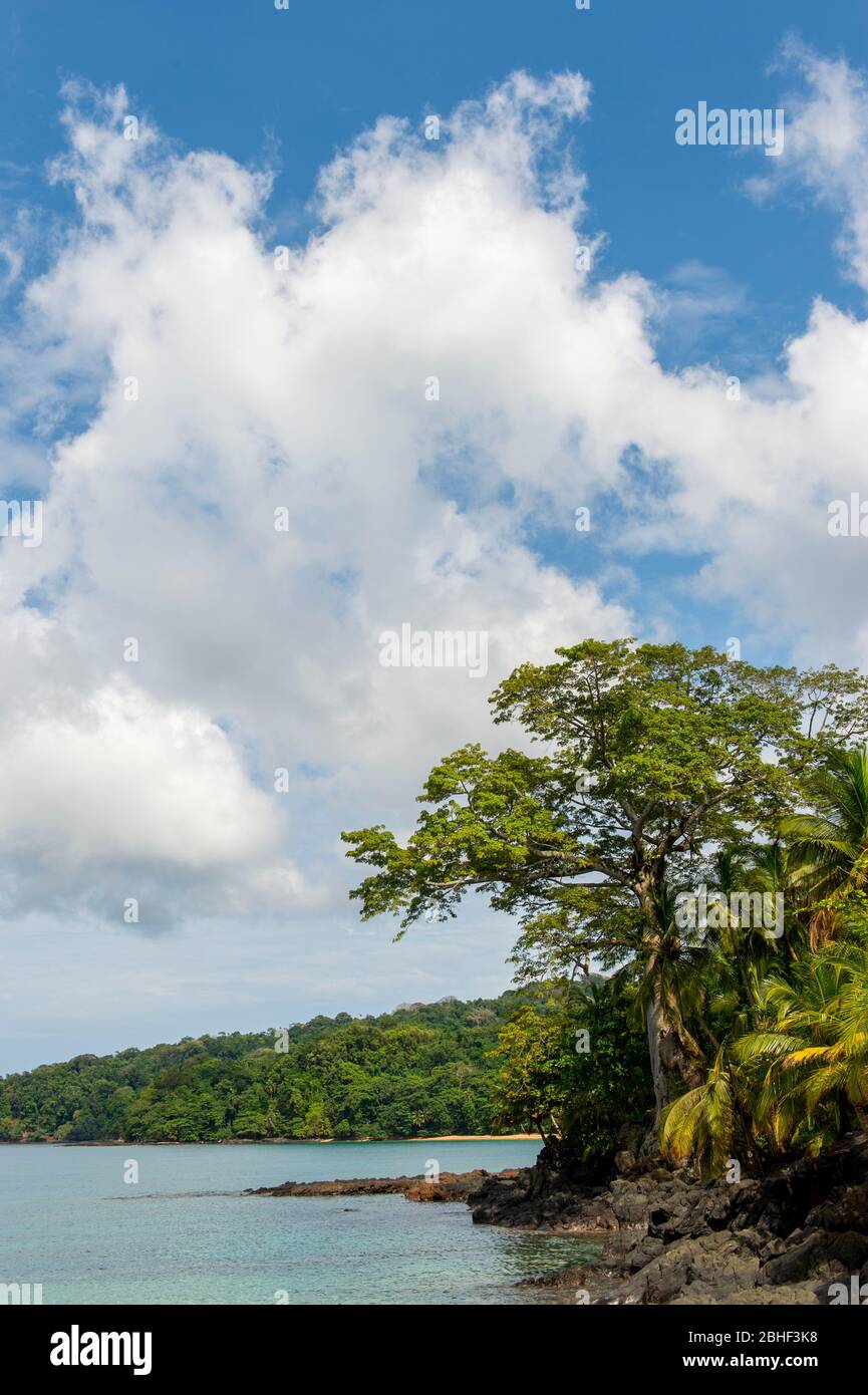 View of coastal rainforest on Principe Island from Bom Bom Resort, Sao ...