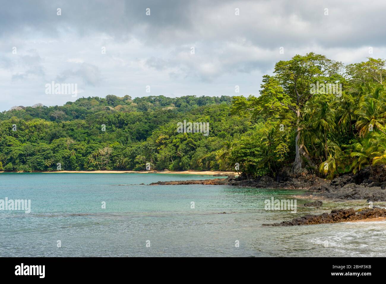 Principe island africa rainforest hi-res stock photography and images ...
