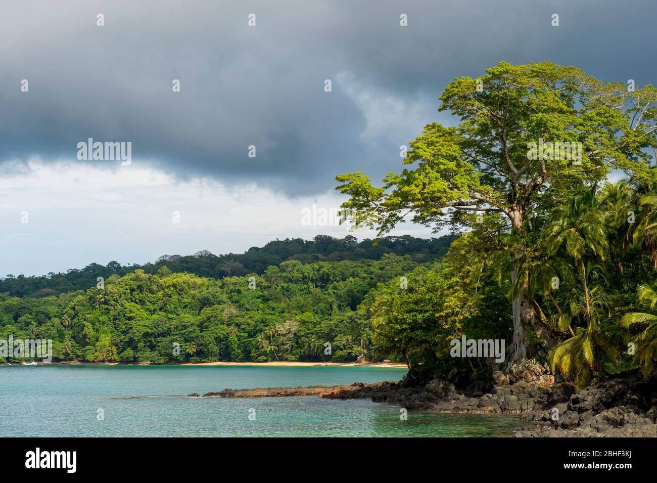 View of coastal rainforest on Principe Island from Bom Bom Resort, Sao ...