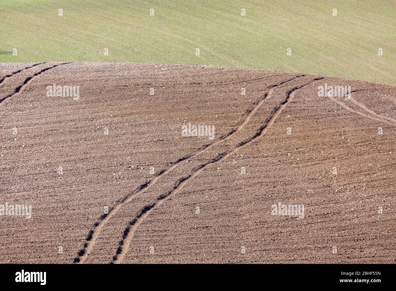 Tractor tracks leading through a unplanted field. In the background an ...