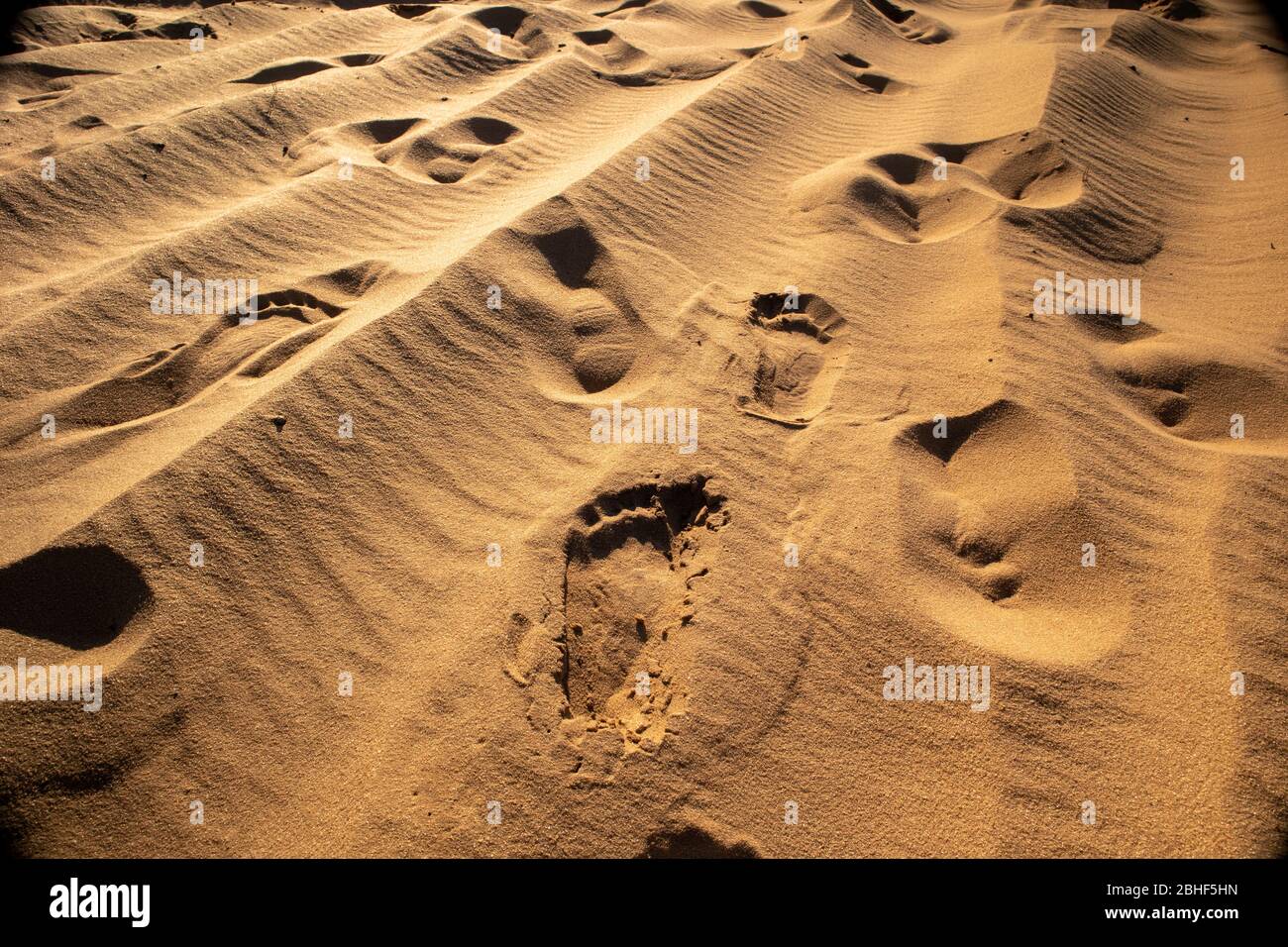 Footprints in the sand. A lot of sand. Desert landscape Stock Photo - Alamy