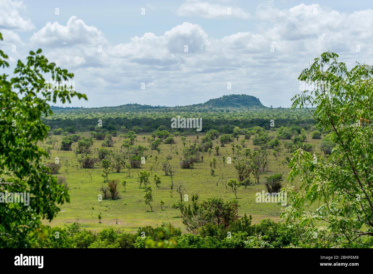 Landscape Shai Game Reserve near Accra, Ghana Stock Photo - Alamy