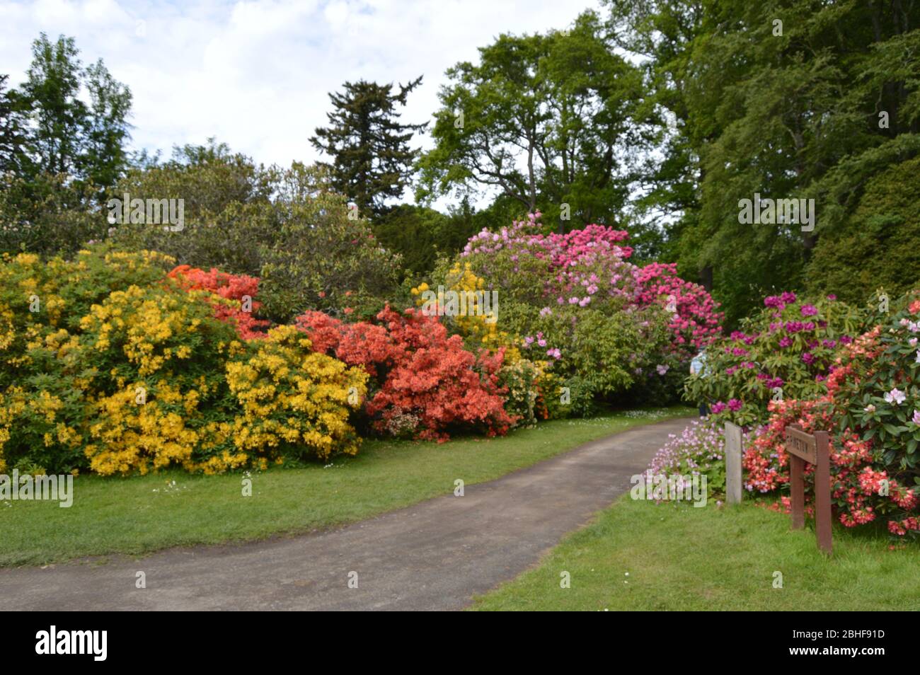Scone palace gardens hi-res stock photography and images - Alamy