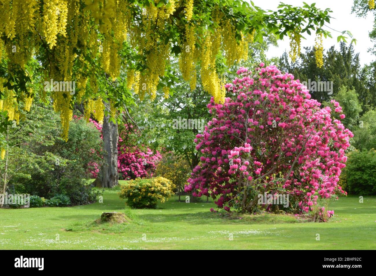 Scone Palace Gardens, Perth, Scotland Stock Photo - Alamy
