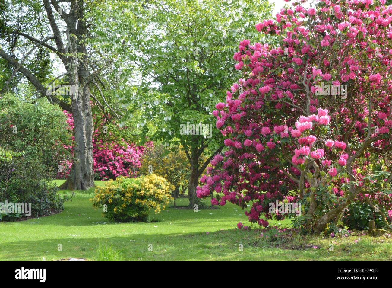Scone palace and gardens hi-res stock photography and images - Alamy