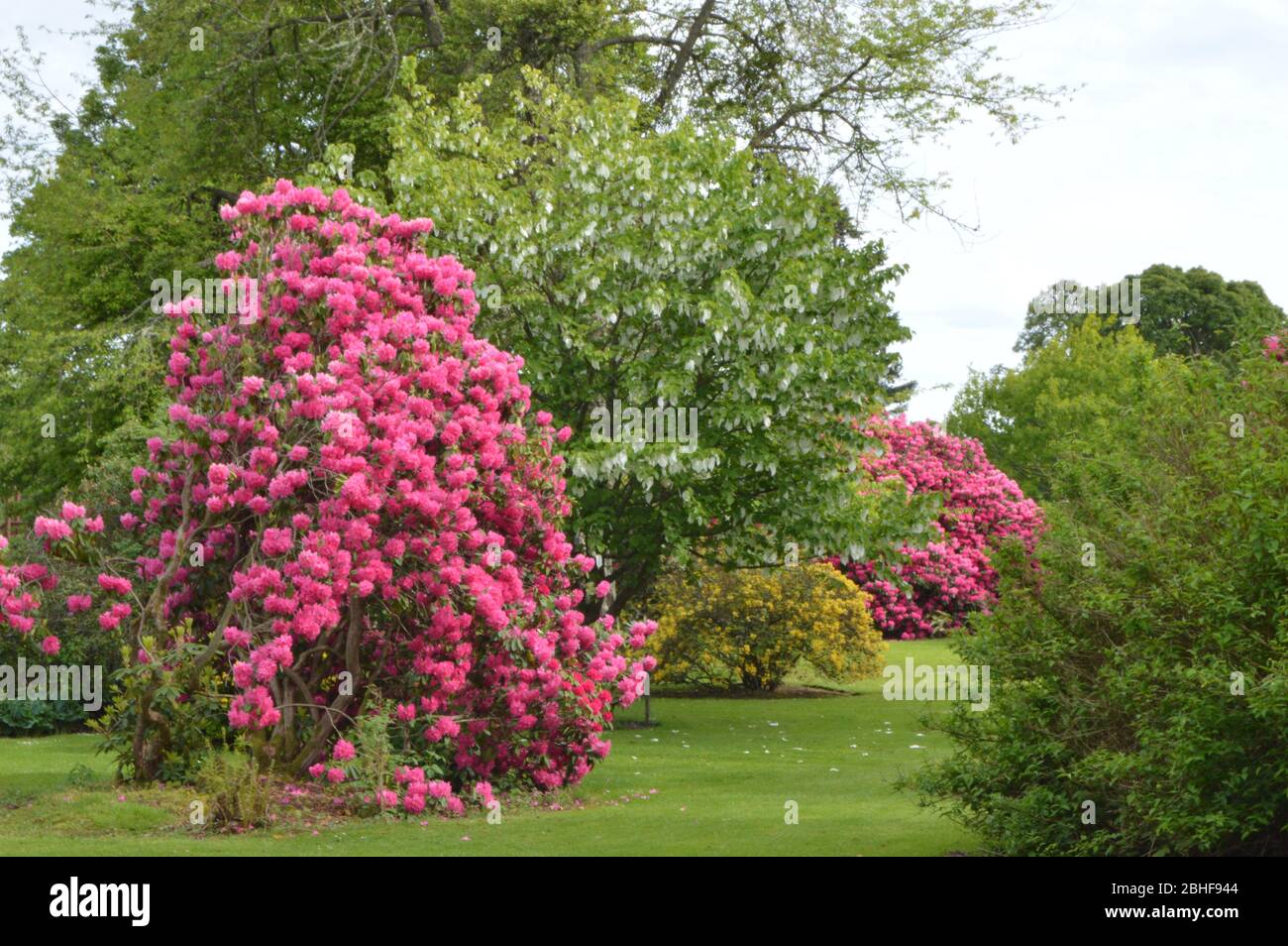 Scone Palace Gardens High Resolution Stock Photography and Images - Alamy