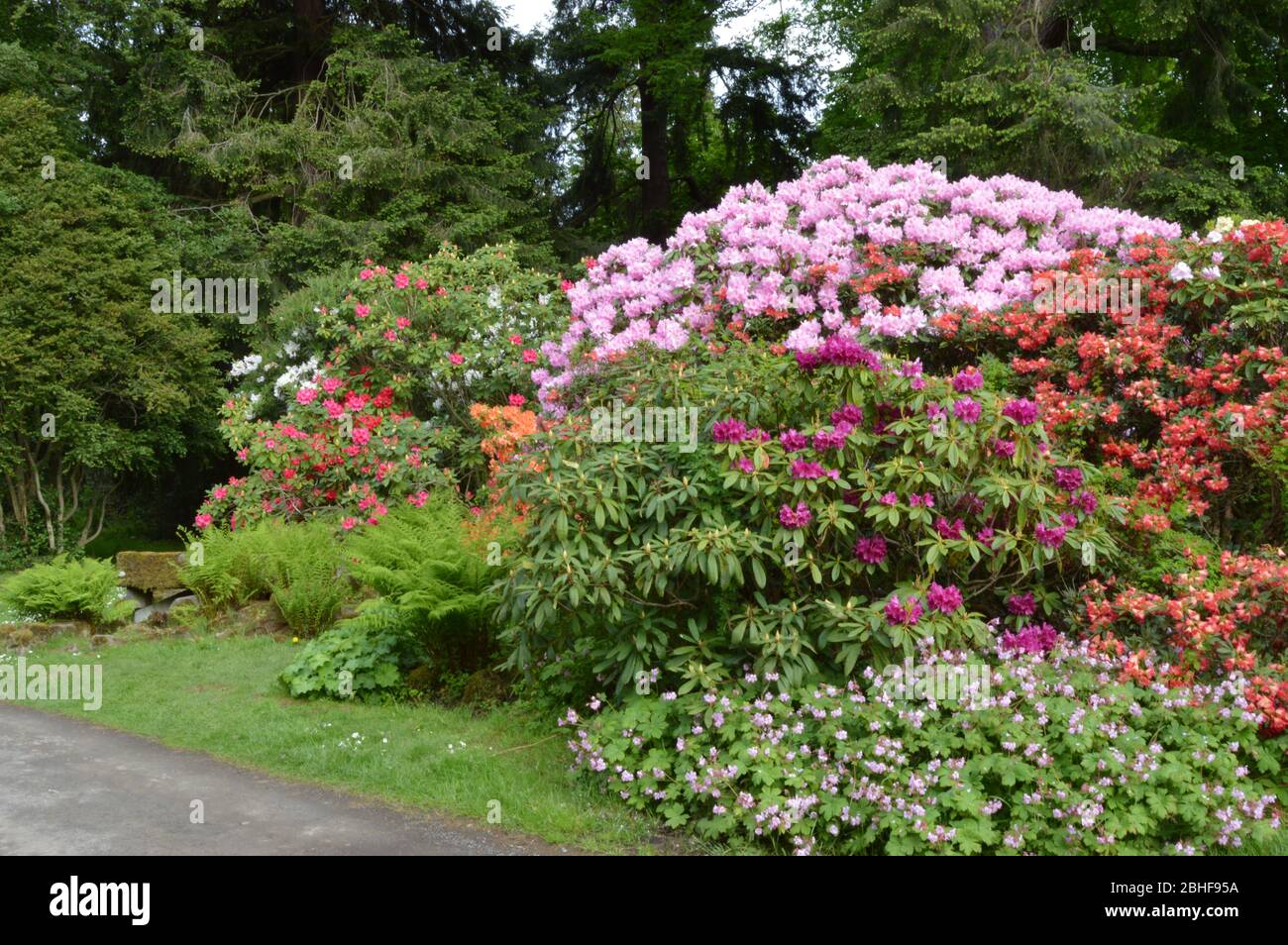 Scone Palace Gardens, Perth, Scotland Stock Photo - Alamy