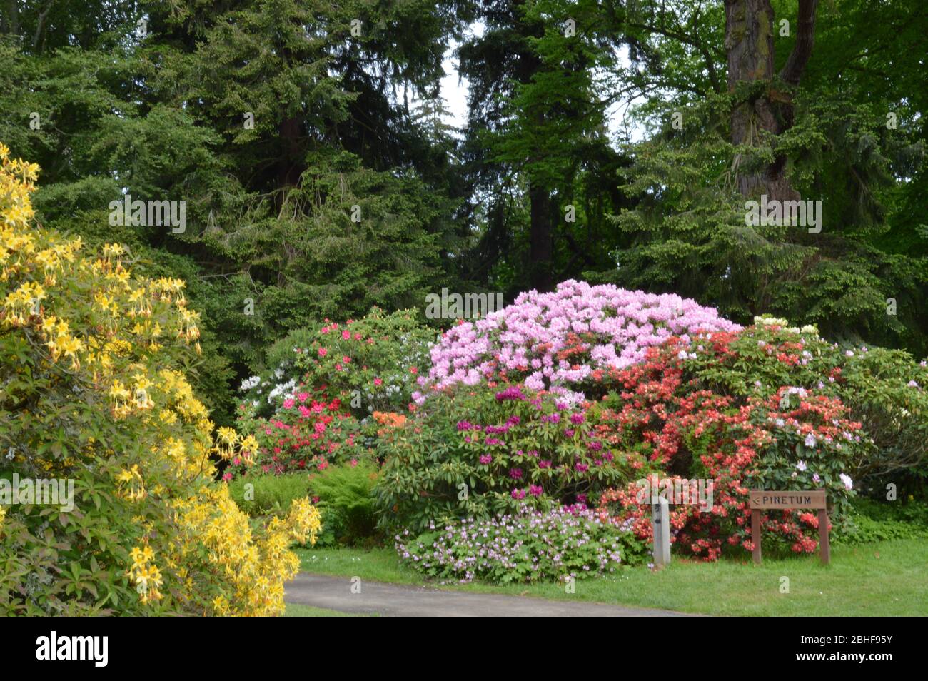 Scone Palace Gardens, Perth, Scotland Stock Photo - Alamy