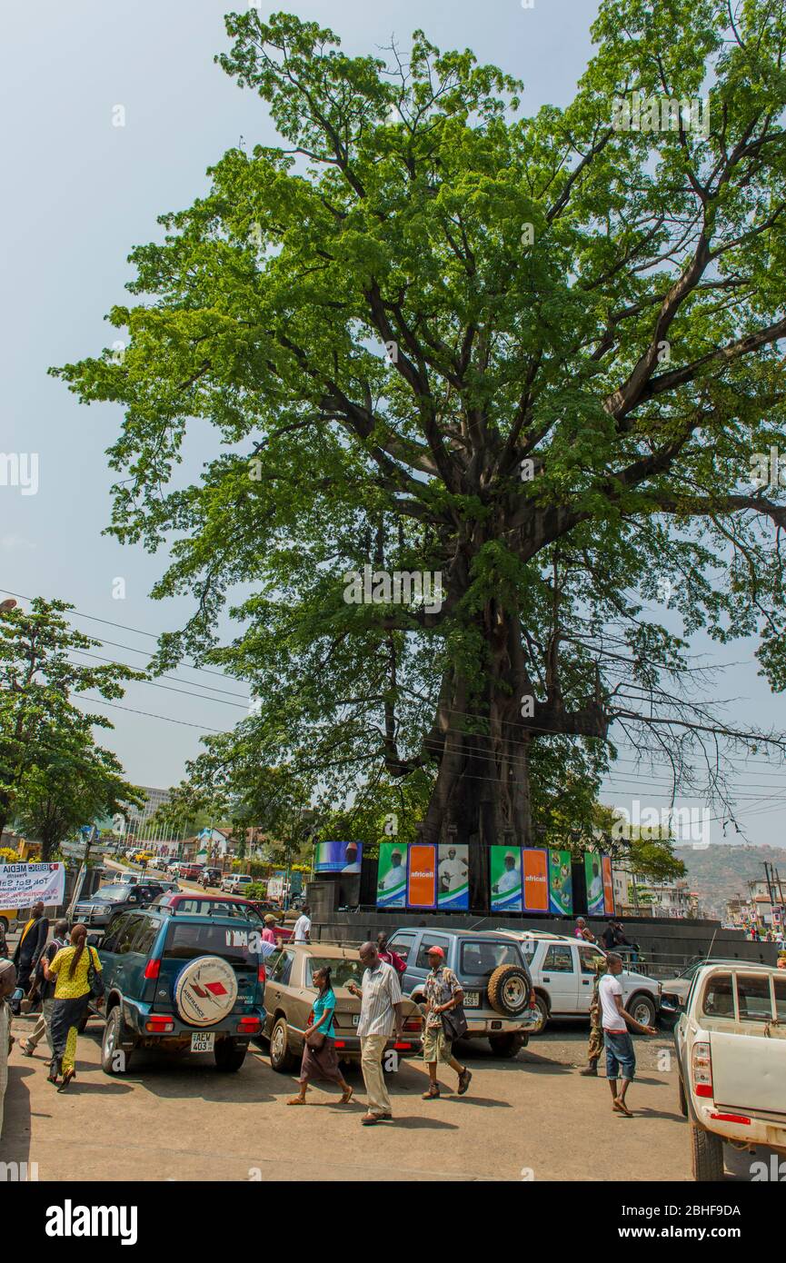 Street scene with Freedom Tree in Freetown, Sierra Leone Stock Photo ...