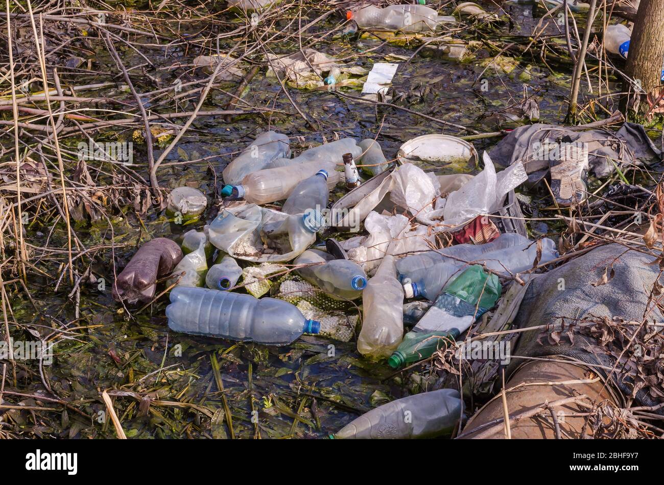 Pollution of a reservoir, lake, river. Plastic bottles and trash ...